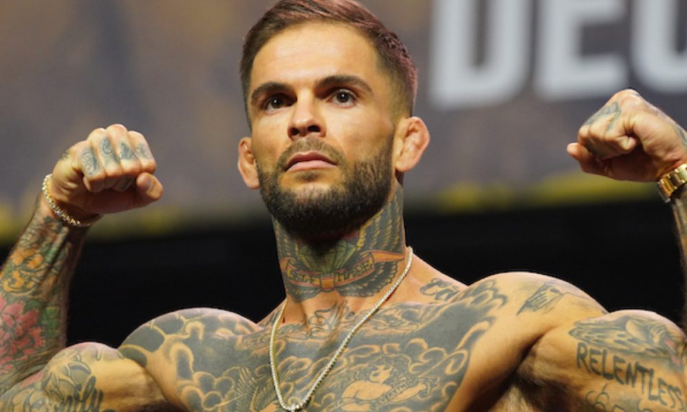 Cody Garbrandt desafia TJ Dillashaw para trilogia de ex-campeões no UFC ...