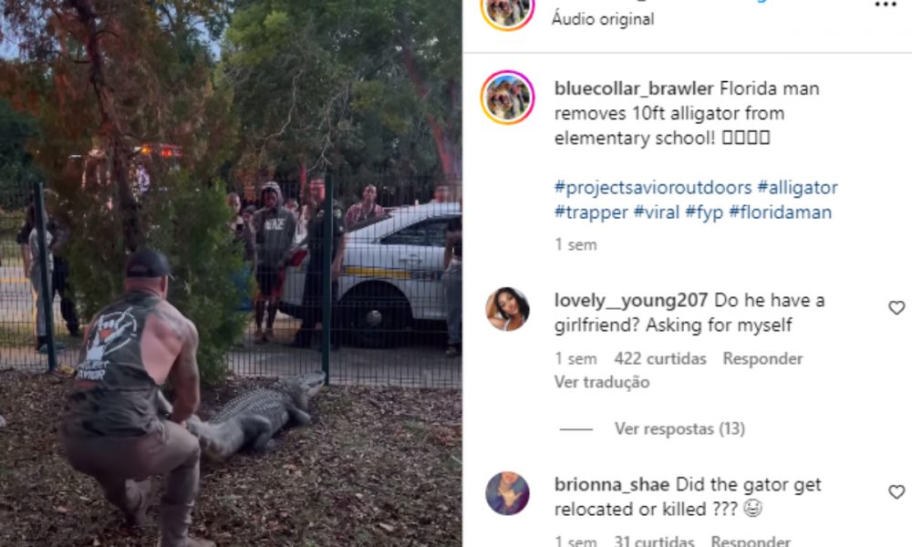 Lutador de MMA ajuda na captura de jacaré na Flórida; assista - Ag ...